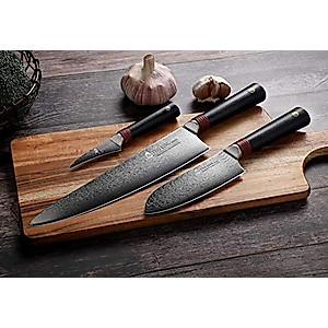 TUO Damascus Chef's Knife - Kitchen Chef Knives - Japanese AUS-10 Damascus Steel - Dishwasher Safe G10 Handle - Gift Case Included - RING-RC Series TC0301RC - 8"