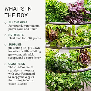 Lettuce Grow Farmstand with Glow Rings (Farmstand Only, No Seedlings Included) | 36-Plant Hydroponic System | Vertical Garden | Large Home Garden w/Self Watering Pump, BPA-Free Food Grade | 6’ 1”