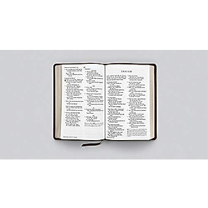 ESV Large Print Thinline Reference Bible (Brown)