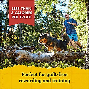 Zuke's Mini Naturals Dog Training Treats, Salmon Recipe, Soft Mini Dog Treats with Vitamins & Minerals, Made for All Breed Sizes (Salmon, 16 Ounce (Pack of 2))