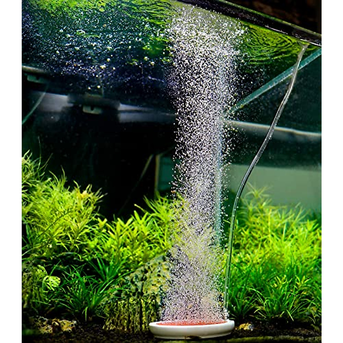 Clscea 4 Inch Air Stone Disc Bubble Diffuser for Aquarium Fish Tank Pump Hydroponics