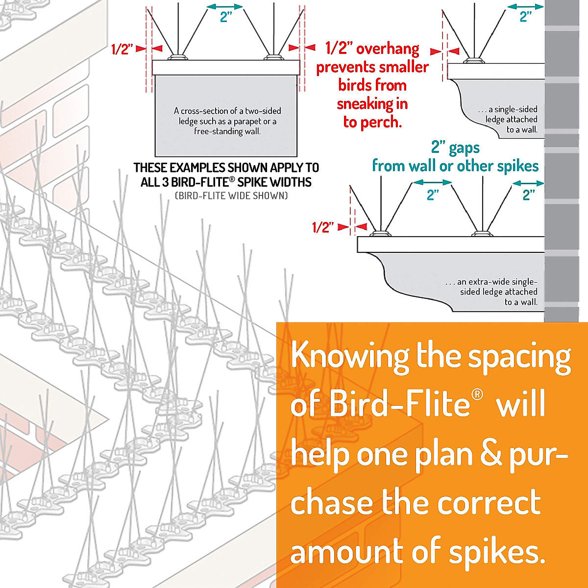 Bird Barrier Bird-Flite Stainless Steel Bird Spikes | Metal Pins Strips with Plastic Base, Clear Glue Adhesive Included - Wide (5in) - 10 Ft. Length