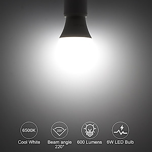 ORALUCE 12V LED Light Bulb Low Voltage,AC/DC 12-24V A19 E26 LED Bulb 60 Watt,6500K Cool White 12 Volt Light Bulb 6W,for Solar Battery System Lighting Marine Boat RV Camping Landscape Garden,6P