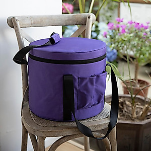 Hye-eun 12 Inch B Note Crystal Singing Bowl Crown Chakra with Purple Carrying Case for Yoga Meditation Sound Healing Energy