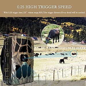 GoldPaddy Trail Game Camera 4K 20MP, Hunting Camera with Night Vision Motion Activated Waterproof Camera 0.2s Trigger Time Scouting Cam 2.4” LCD IR LEDs 120° Wide Angle for Wildlife Home Monitoring