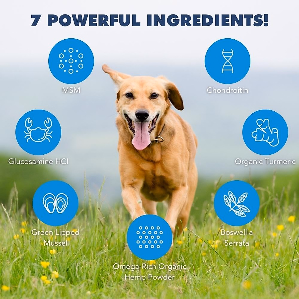 iHeartDogs Hip & Joint Supplement for Dogs - Advanced 8-in-1 Dog Joint Supplement Chews with Glucosamine, Chondroitin, Turmeric, Devil's Claw, Green Lipped Mussel, Hemp, Yucca, Boswellia & MSM - 90 Ct