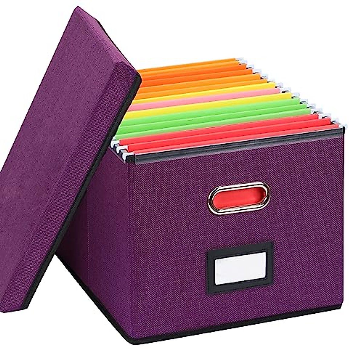 EOOUT File Folder Organizer - 1 Pack, Hanging File Storage Box with Handles