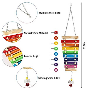 BNOSDM 5 Pieces Chicken Xylophone Toys Chicken Mirror Toy Chick Veggies Skewer Vegetable Hanging Feeder Coop Accessories Chicken Coop Toys for Hens Roosters Birds