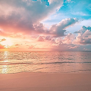 Empire Candle Beach Rose Scented Jar Candle, 12 oz, Burn Time 50 Hours, Home Fragrance, Room Accessories