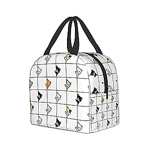Insulated Lunch Bag Reusable Lunch Box, Cooler Lunch Tote Bag With Front Pocket for Teen Girls Women Men Women School Picnic Office Work, Cute Kawaii Cat