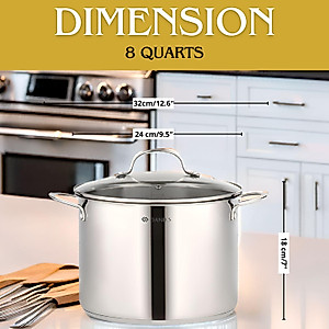Daniks Professional Stainless Steel Stockpot with Lid 8 Qt | Large Stock Pot for Soup, Stew, Pasta, Vegetables | Induction Deep Cooking Pot