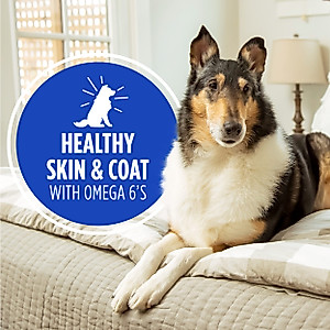 IAMS PROACTIVE HEALTH Healthy Aging Wet Dog Food Classic Ground with Slow Cooked Chicken and Rice, 12-Pack of 13 oz. Cans