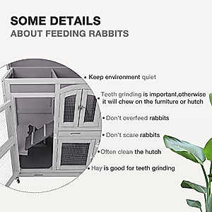 MEDEHOO Two-Story Rabbit Hutch with Wheels Guinea Pig Cage Indoor Outdoor Bunny Cage with 2 Deep Leakproof Tray