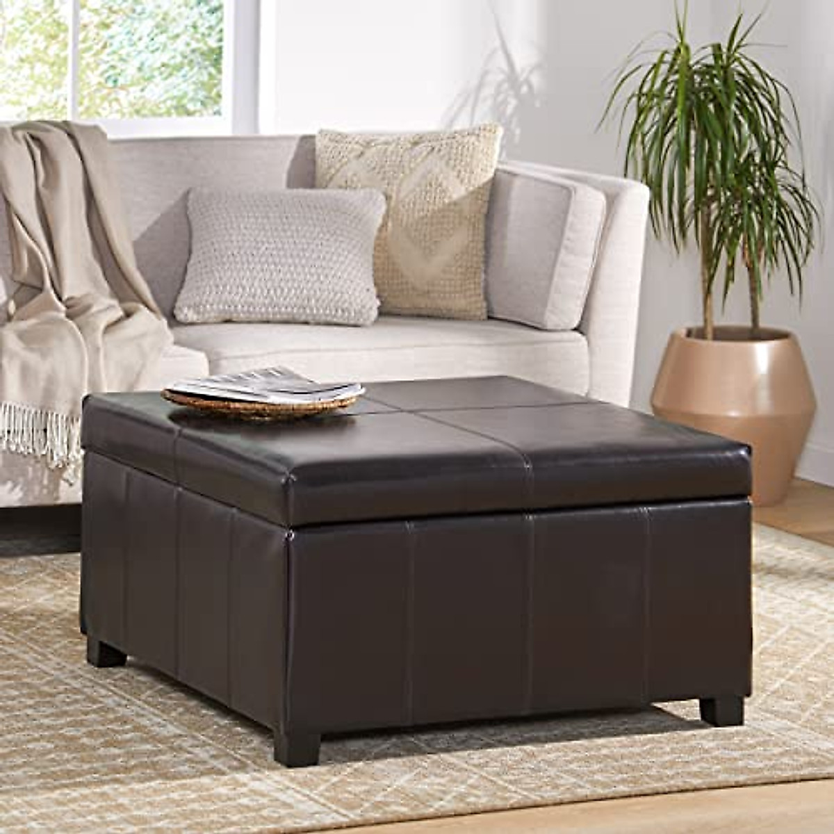 Christopher Knight Home Living Berkeley Brown Leather Square Storage Ottoman, Espresso