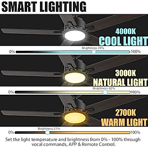 Smart 52” Ceiling Fan with Lights, DC 10 Wind Speeds Quiet Ceiling Fan with Remote, 3 Light Colors Dimmable Outdoor Ceiling Fan Compatible with Alexa, Siri & Google Home, Light Wood & Dark Walnut