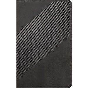 NLT Student Life Application Study Bible, Filament Enabled (LeatherLike, Charcoal Gray Striped, Red Letter)