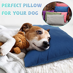 Kigley Mini Pillows for Daycare 9.1 x 13.8'' Small Travel Pillow Bulk Soft Breathable Cotton Pillow for School Nap Travel Pet Neck Lumbar Purse Insert