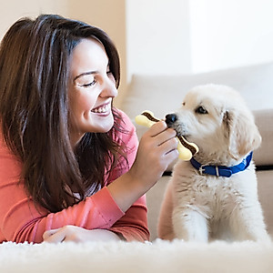 Sosation Chew Toys for Aggressive Chewers Large Breed Beef Flavor Dog Teething Chew Toys Bones Durable Nylon Bones for Large Puppies, 6.3 Inch(Large, Medium)