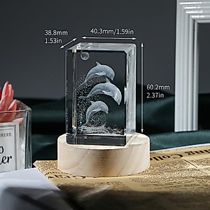 YouerCrystal 3D Crystal Dolphin Figurine Night Light with LED Light Base, Birthday Gift for Kids Women Unique, Thanksgiving Christmas Valentines Anniversary Birthday Gifts for lovers (3D-Dolphin)