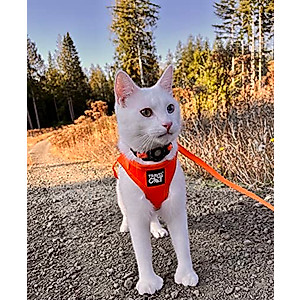 Travel Cat Harness and Leash Set - Adjustable Comfort Fit Mesh Vest Harnesses with Reflective Strap - Snug Fit Harness for Cats, Kitten for Outdoor Walking, Orange, Small (Chest 13-15.5 inch)