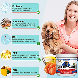 Dog Multivitamin Supplement with Glucosamine, Probiotics, Fish Oil - Promotes Healthy Skin and Coat, Supports Joint Health, Allergy Relief and Digestive Function