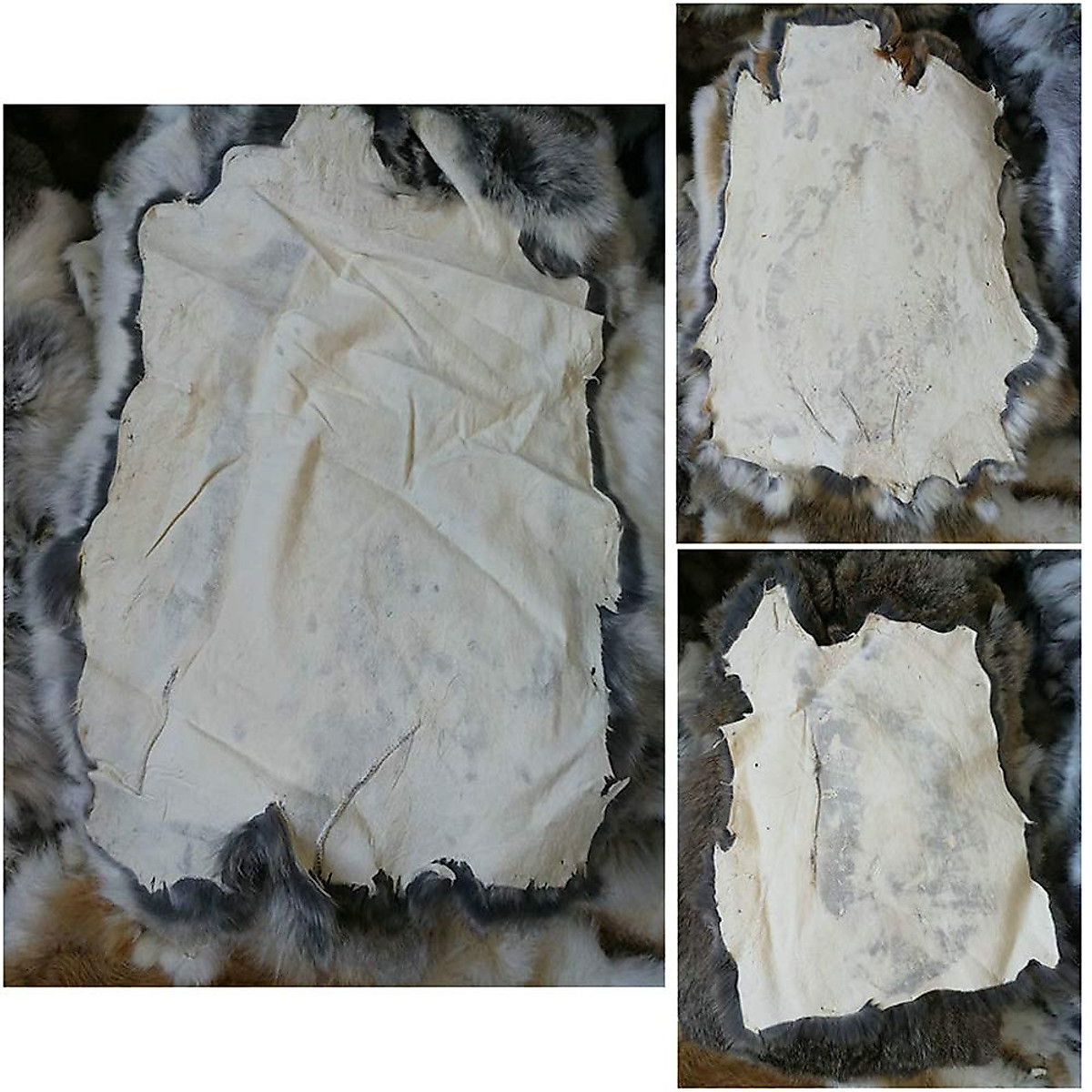 Assorted Natural Rabbit Skin Fur Pelts Grade Craft with Sewing Quality Leather 10" by 14" with Sewing Quality Leather for Decoration, Cat/Dog Toys, Sewing, or Crafting Fur Hide (5PCS Bulk)