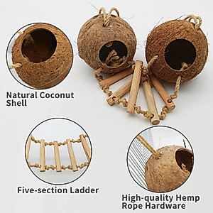 Tfwadmx Natural Coconut Hide with Ladder Perches Hanging Bird House Toy for Cage Parrot Breeding Nest for Gecko Parakeet Lovebird Finch Hamster