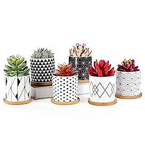 Succulent Pots 6 Pack, Laerjin 3 Inch Succulent Planters with Drainage and Bamboo Tray, Geometric Patterns Ceramic Small Pots for Baby Plants, Cactus, Herbs- Plants Not Included