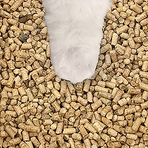 Casual Home 100% Natural Pine Wood Non-Clumping Cat Litter Wood Pellets
