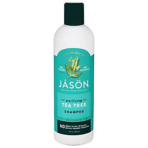 Jason Tea Tree Shampoo 12 oz