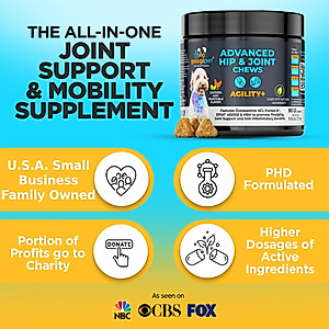 Googipet Hip and Joint Supplement for Dogs - Glucosamine for Dogs – Soft Chews w/Green Lipped Mussels for Dogs, Turmeric for Dog Arthritis & Mobility for All Ages & Breeds