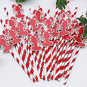 Lobster Paper Straws Decor-24 Pack of Crawfish Birthday Party or Christmas Paper Straws Supplies-Red and White Disposable Striped Paper Decorative Drinking Straws for Seafood Party Decorations