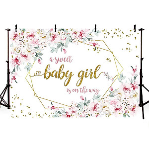 AIBIIN 7x5ft Floral Baby Shower Backdrop Baby Girl Pink Floral A Sweet Baby Girl is On The Way Baby Shower Photo Background Baby Girl Baby Shower Decorations Newborn Banner Supplies