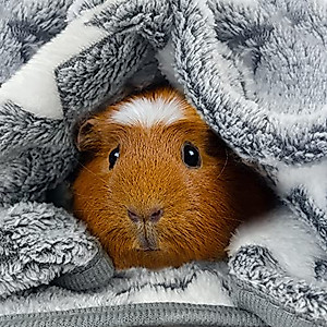 Tierecare Guinea Pig Blanket (3 Pack) Ultra Soft Pet Fleece Blankets Warm Sleep Mat Flannel Sofa Cover for Dog Cat Hamster Rabbit Fluffy(S)