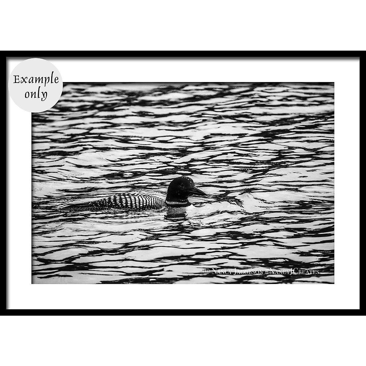 Swimming Loon on Water Bird Photography Unframed Black and White Print Nature Photo Silver Gray Wall Art Monochrome Home Decor