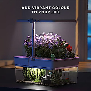 Hydroponics Growing System, 12 Pods Indoor Garden with 10.0L Aquarium System, Grow Light, Drainage System, Automatic Timer, Hydroponic Herb Garden kit Including 70 Packs Accessories