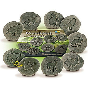 Yellow Door Let’s Investigate Woodland Footprints Double Sided Stones with Animal Tracks and Animal Picture, Create Fun Animal Games with Fossil Set, Stone, Set of 8, Toddler Toys for 3 Years & Up