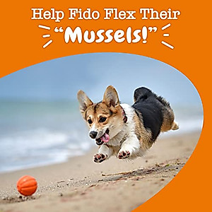 New Zealand Green Lipped Mussel Bites for Dogs - 500 mg Dog Hip & Joint Support Supplement Soft, 90 Count, Assorted