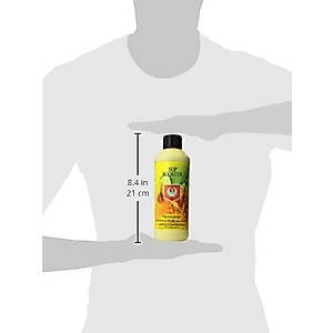 House & Garden GL56749703 HGTBS005 Top Booster, 500 ml fertilizers, Natural
