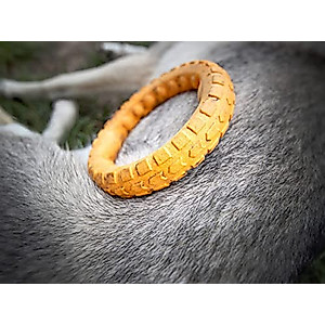 Spunky Pup Gnaw Guard Foam Dog Toy | Strong Dental Chew Toy | Promotes Healthy Teeth & Gums | Large Ring