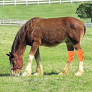 vomvomp Hock Shield Protector for Horse Hock Wrap Horse Hock Leg Joint Sore Boot