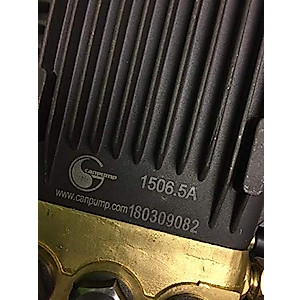 Canpump Pressure Washer Triplex Pump, 3000 psi at 3.1 gpm, 3/4-inch Shaft
