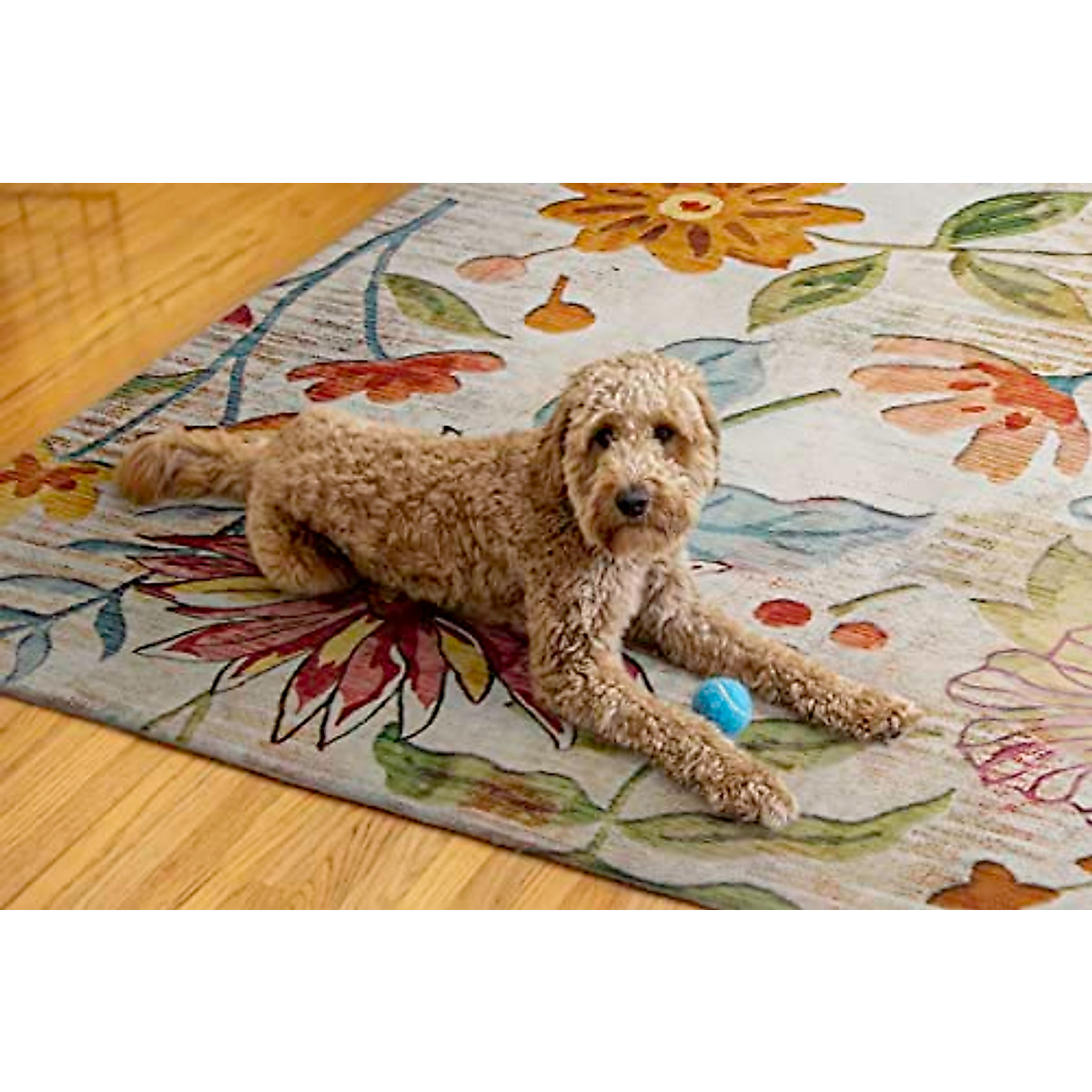 Linon The Anywhere Indoor Outdoor Washable Folly Ivory & Pink 5' X 7' Area Rug