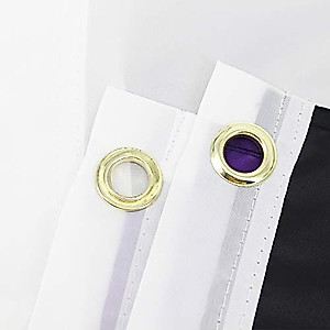 Flaglink Asexual Pride Flag 3x5Fts - LGBTQIA Nonsexual Gender Rainbow Banner