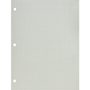 School Smart-86667 Double Sided Grid Paper, 3 Hole Punched, 8-1/2 x 11 Inches, 1/4 Inch Rule, White, Pack of 500