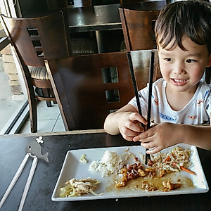 Reusable Training Chopsticks with Gray Whale Silicone Topper, Chopstick Trainer for Beginners, Authentic Chinese and Japanese Silverware, 8.5 Inches