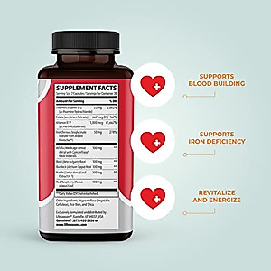 LifeSeasons - Blood Nourish-R - Iron Deficiency Supplement - Supports People Dealing with Fatigue, Paleness and Dizziness - No Constipation - Boost Blood Building - Iron, Vitamin B-12 (60 Capsules)