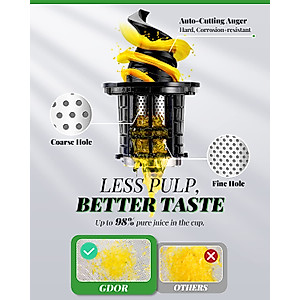 GDOR Cold Press Juicer Machines, Masticating Juicer Extractor with 3.5-Inch Feed Chute, Slow Juicer With High Yield, Easy to Clean,Grey