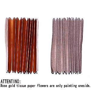 Rose Gold Bachelorette Party Hanging Decorations - Wedding Party Foil Swirls Tissue Paper Pom Poms Flowers Bridal Shower Party Garlands Baby Shower Birthday Party Decorations, 20Ct