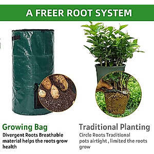 Compost Bins Outdoor, Garden Compost Bag, Reusable Garden Yard Waste Bag, Collapsible Leaf Lawn Bags, 34 Gallon (Black 1 Pack) (Green)